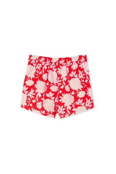 Raspberry Shorts – Hippity Hop Boutique